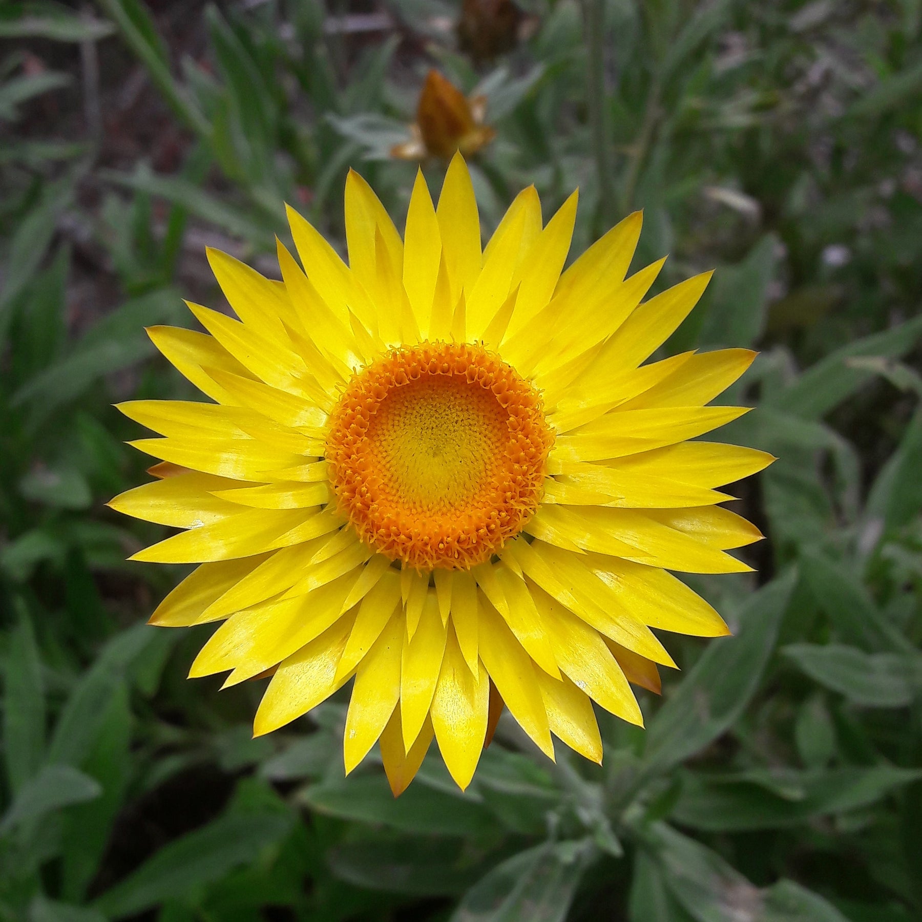 10 ways of celebrating Australian Winter solstice: Honoring Nature